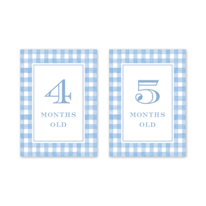Gingham Blue Milestone Cards– Dogwood Hill