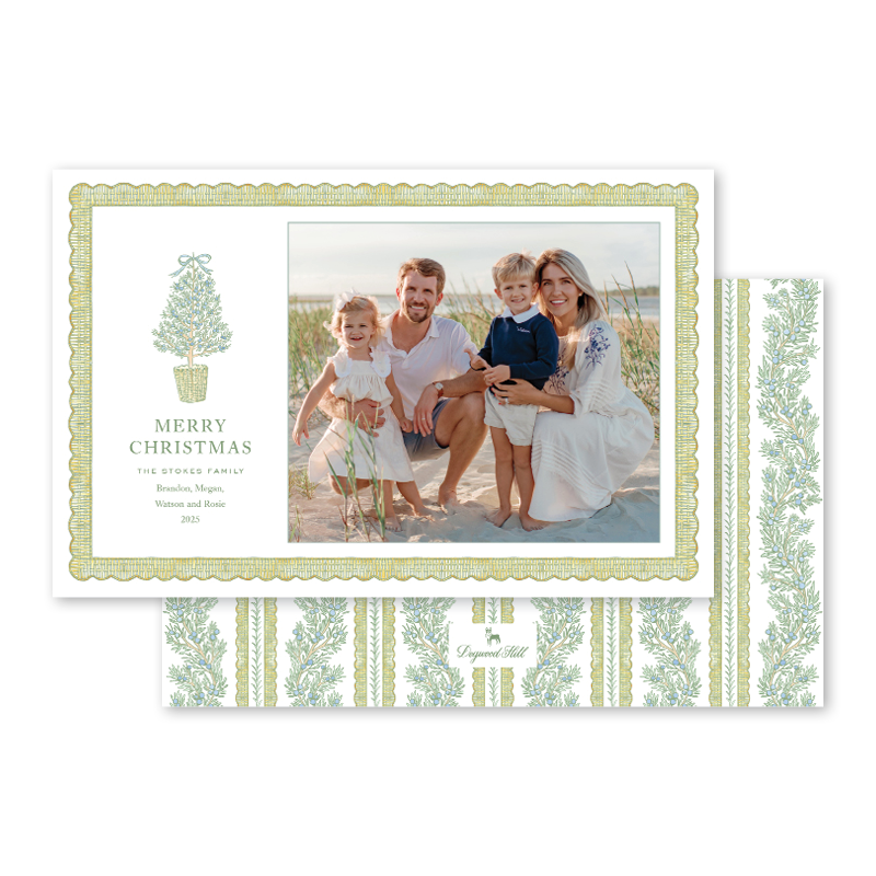 Carolina Juniper Tree– Dogwood Hill